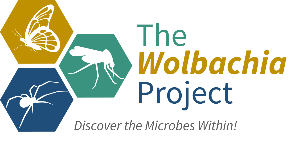 The Wolbachia Project – DMW The Wolbachia Project Database
